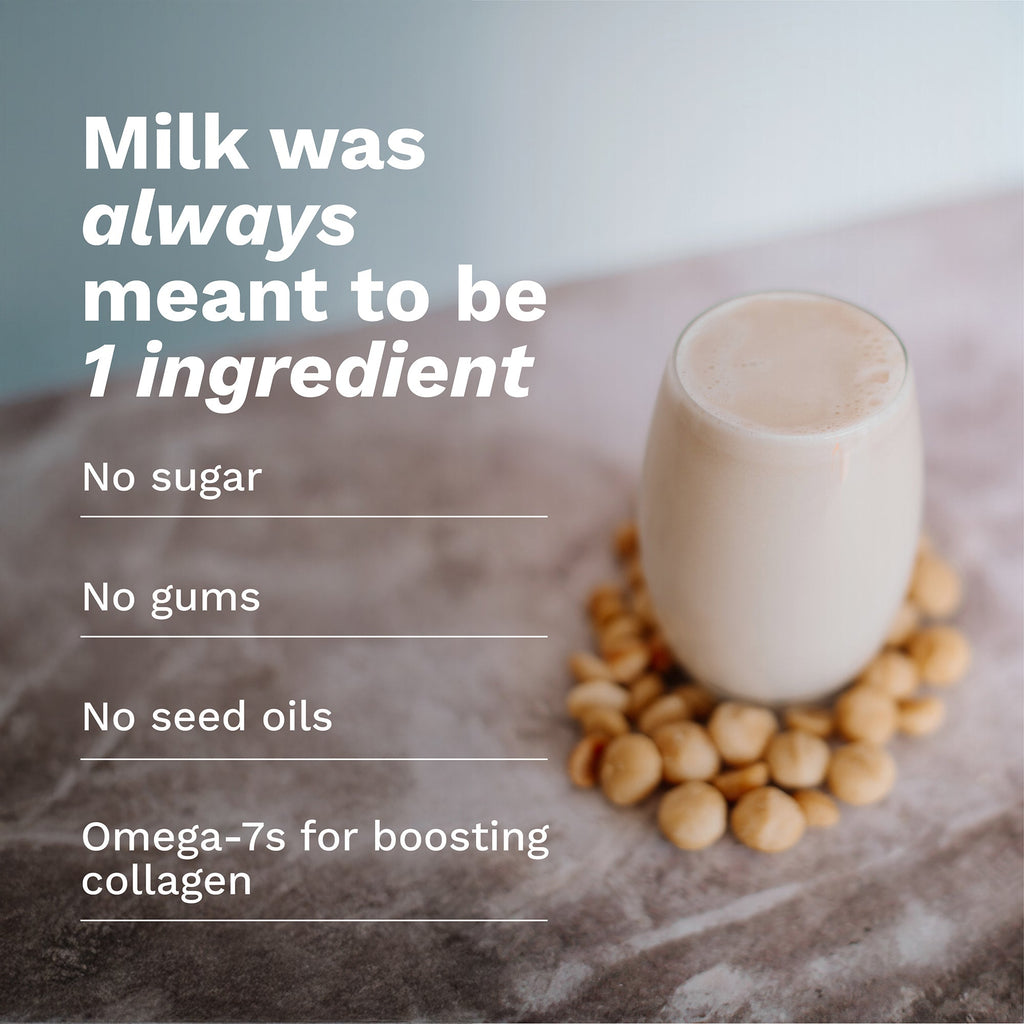 100% Macadamia Milk (12 Packs) | Tastes of Aloha